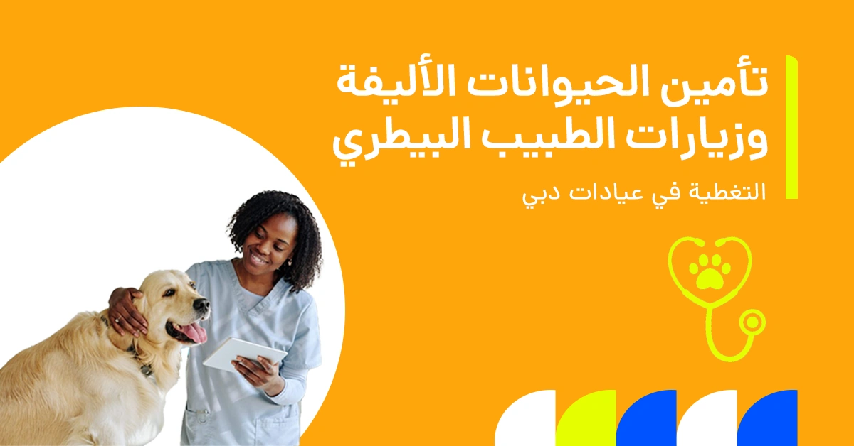 عيادة طبيب بيطري في دبي: 6 نصائح مهمة لتغطية تأمين الحيوانات